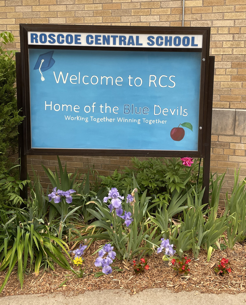 Live Feed | Roscoe Central School